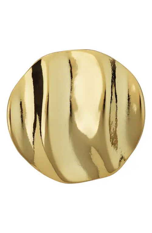 PANACEA Wave Circle Brooch