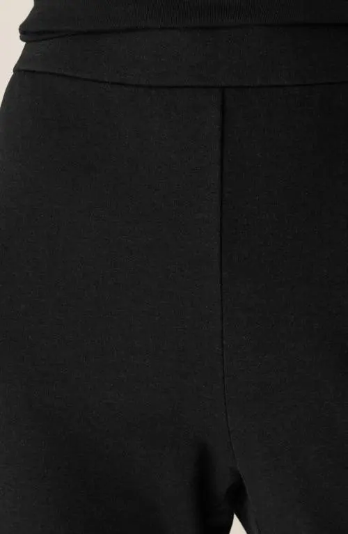 Eileen Fisher Kick Pants