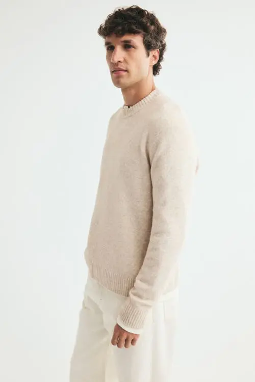 H&M Regular Fit Brushed Wool Blend Sweater - Light Beige Melange