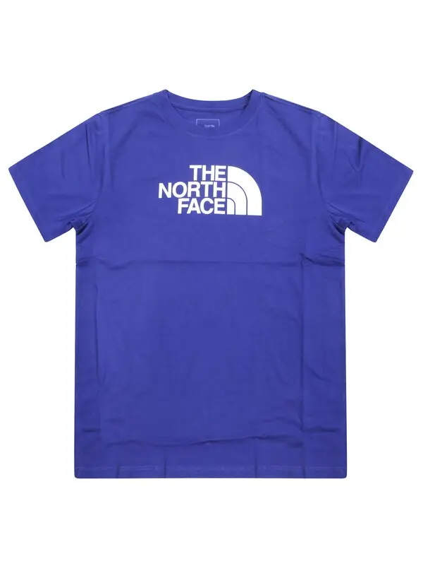 The North Face Evolution Half Dome T-shirt - Blu