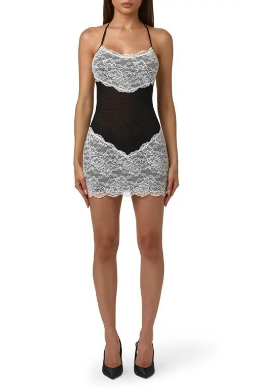 Naked Wardrobe Lace & Mesh Halter Minidress