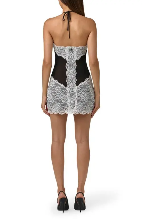 Naked Wardrobe Lace & Mesh Halter Minidress