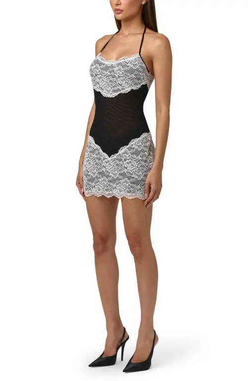 Naked Wardrobe Lace & Mesh Halter Minidress