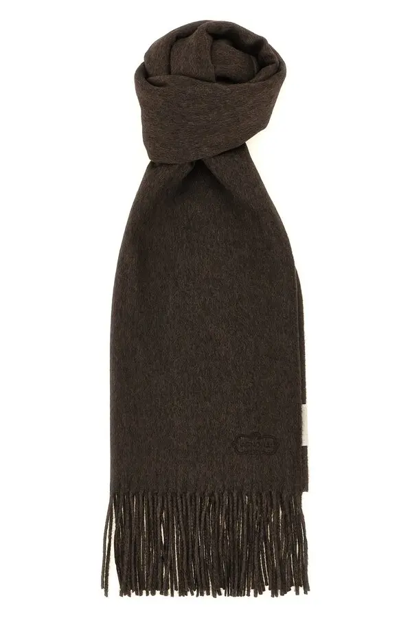 Agnona Scarf With Fringes - Brown