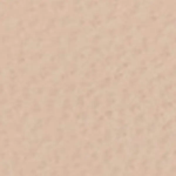 CHRISTIAN LOUBOUTIN Miss Z Lace Sling 100 Lace Slingbacks - Nude