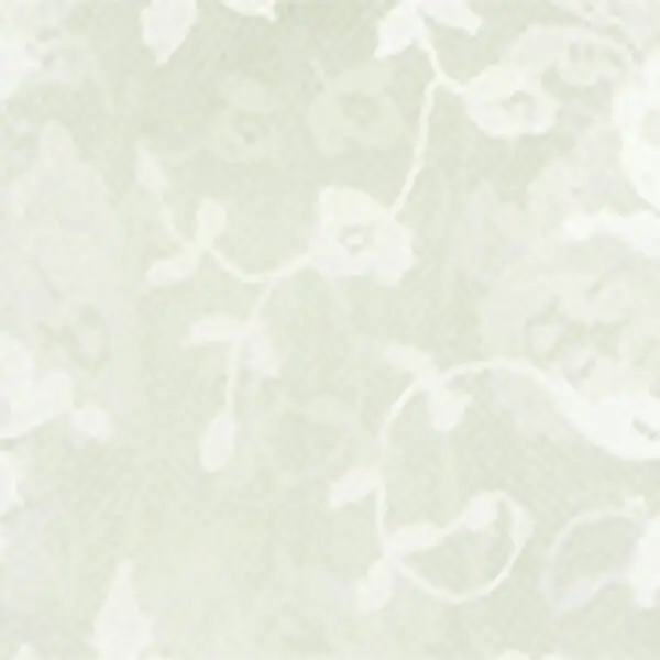 Alexander McQueen Silk Lace Floral Midi Dress