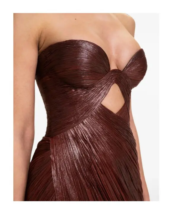 MARIA LUCIA HOHAN Pleated Gown