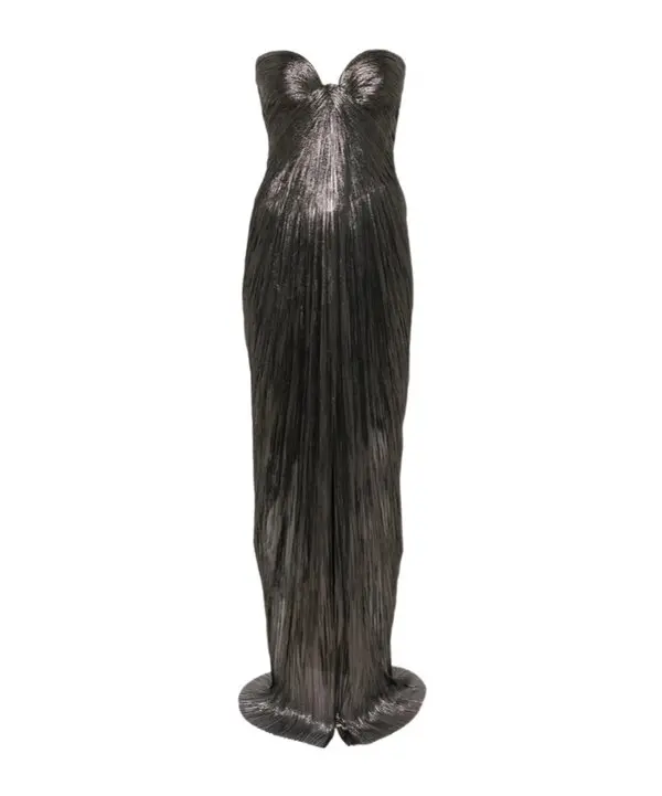 MARIA LUCIA HOHAN Pleated Gown