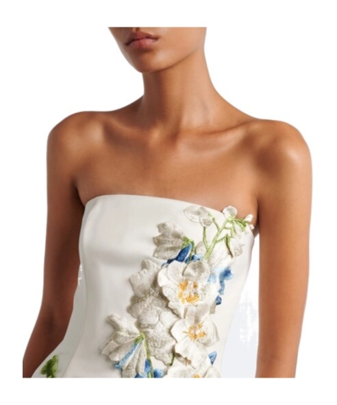 LEO Floral-appliqué Bustier Dress