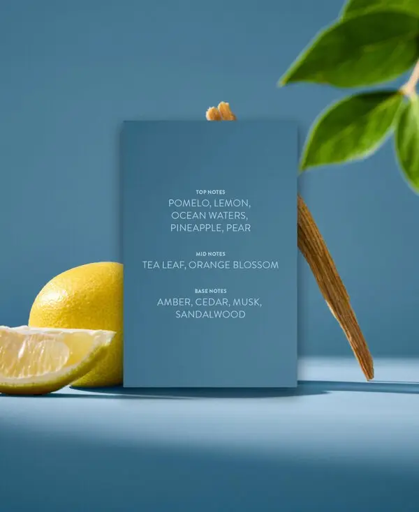 MICHAEL MALUL Visionair Eau De Parfum