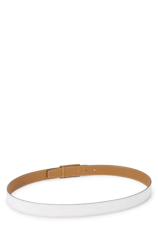 Hermès Epsom Collier De Chien 100