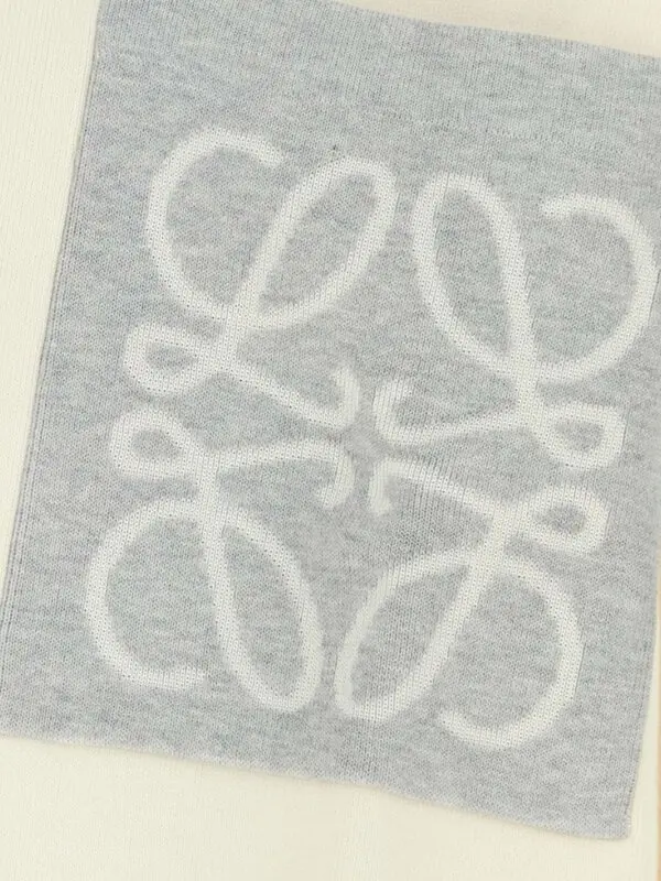 Loewe Sweater