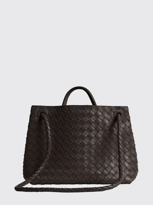 Bottega Veneta Andiamo Handbag In Intrecciato Lambskin Leather - Brown