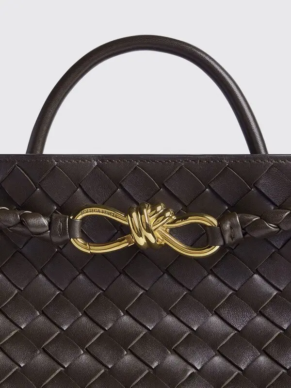 Bottega Veneta Andiamo Handbag In Intrecciato Lambskin Leather - Brown