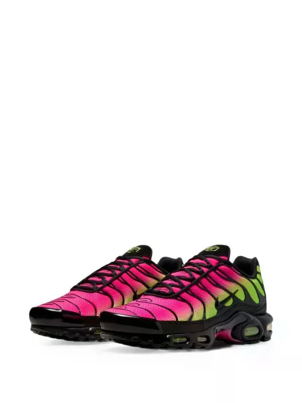 Nike Air Max Plus Sneakers