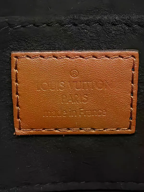 LOUIS VUITTON 2020 Monogram Reverse Mini Dauphine Satchel