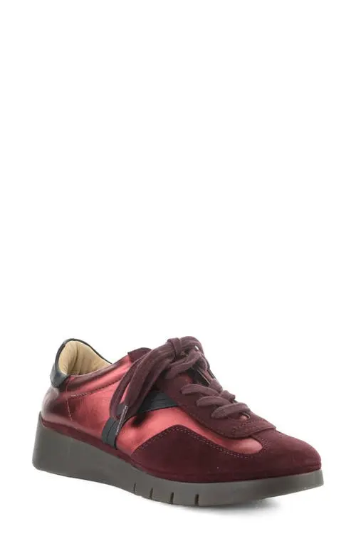 BOS. & CO. Lyrox Leather Sneaker - Wine Multi