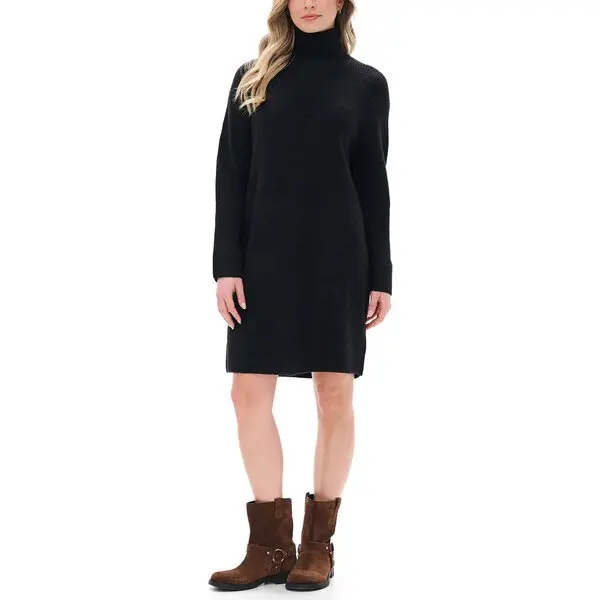 HATLEY Iris Long Sleeve Turtleneck Sweater Dress