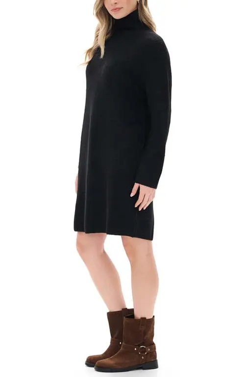 HATLEY Iris Long Sleeve Turtleneck Sweater Dress