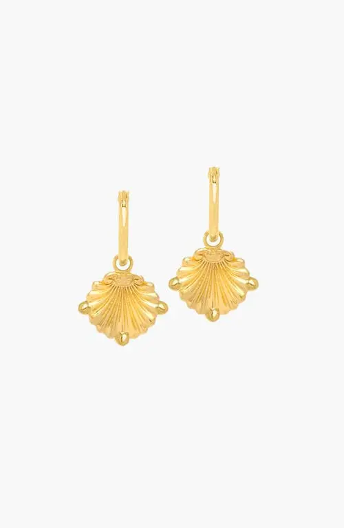 YOJ Conquela Midi Hoops
