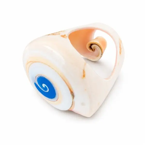 BELLUS DOMINA Blue / Brown Blue & Beige Spiral Seashell Ring
