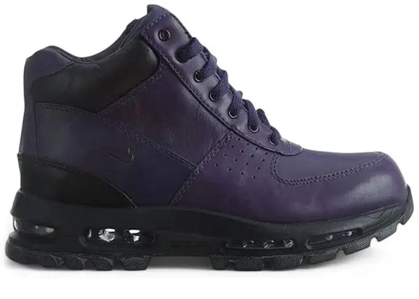 Nike Air Max Goadome Purple