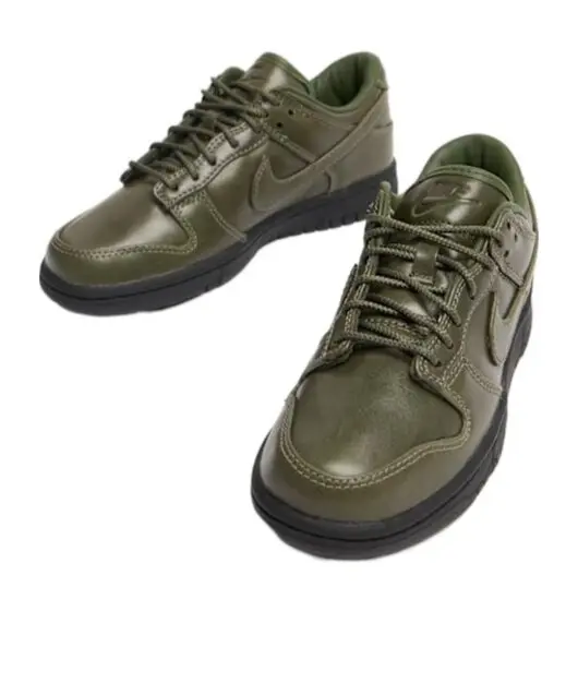 Nike Laceup Casual Shoes