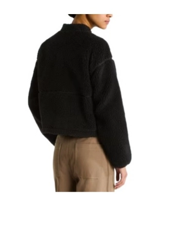 The North Face Standcollar Zipup Fleece Jacket