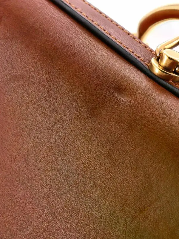 Chloé Nile Leather Medium Crossbody Bag