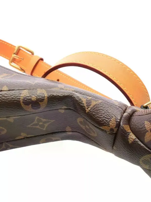 LOUIS VUITTON 2010-2026 Monogram Dolphin Bag Crossbody Bag