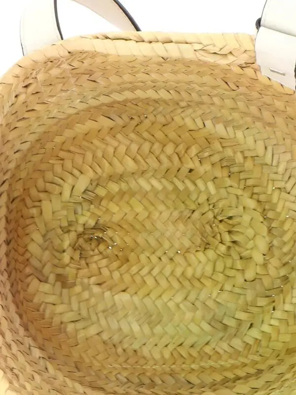 Loewe Raffia Small Tote Bag - White