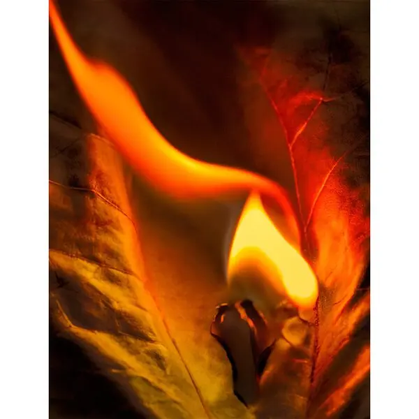 MAISON CRIVELLI Tobacco Carnaval Extrait De Parfum