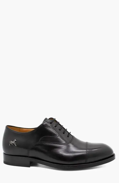 CAVALINHO Lusitano Leather Cap Toe Oxford Shoes - Black