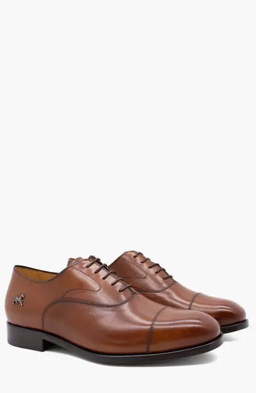 CAVALINHO Cavalo Lusitano Leather Toe Cap Oxford Shoes