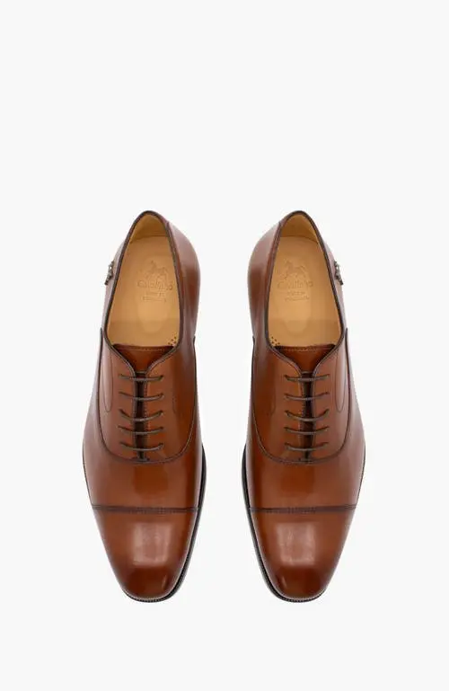 CAVALINHO Cavalo Lusitano Leather Toe Cap Oxford Shoes