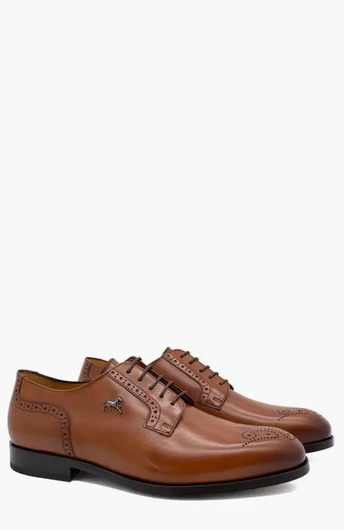CAVALINHO Lusitano Leather Derby Brogue Shoes