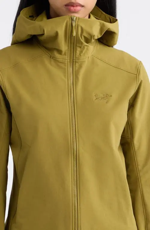 Arc'teryx Gamma Performance Hoody