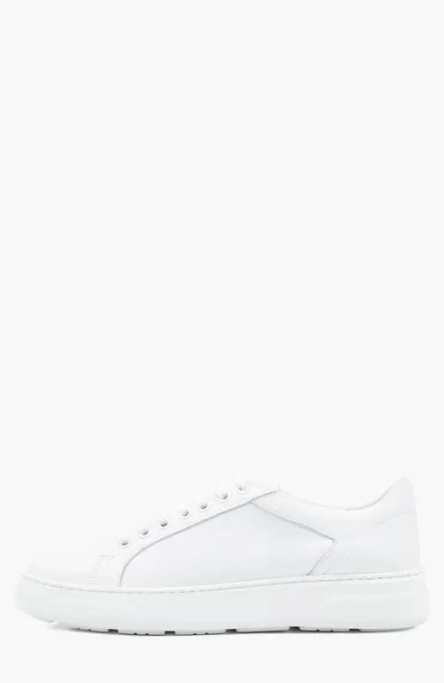 CAVALINHO Authentic Leather Low-top Sneakers