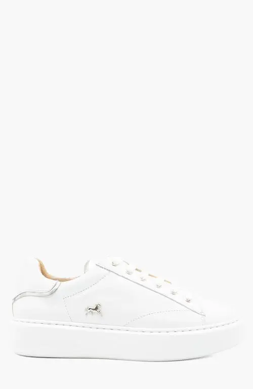 CAVALINHO Spirit Leather Sneakers - White/silver
