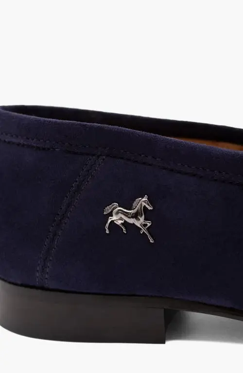 CAVALINHO Gentleman Pointed Toe Suede Loafers - Navy