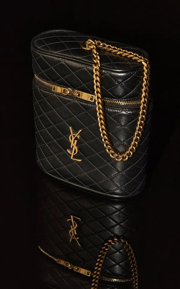 Saint Laurent Gaby Vertical Leather Vanity Bag
