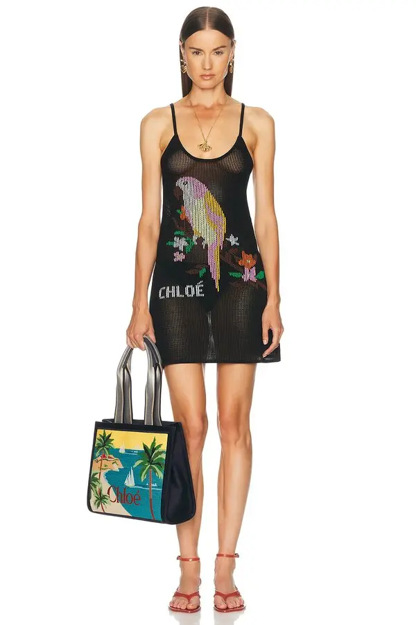 Chloé Parakeet Mini Dress