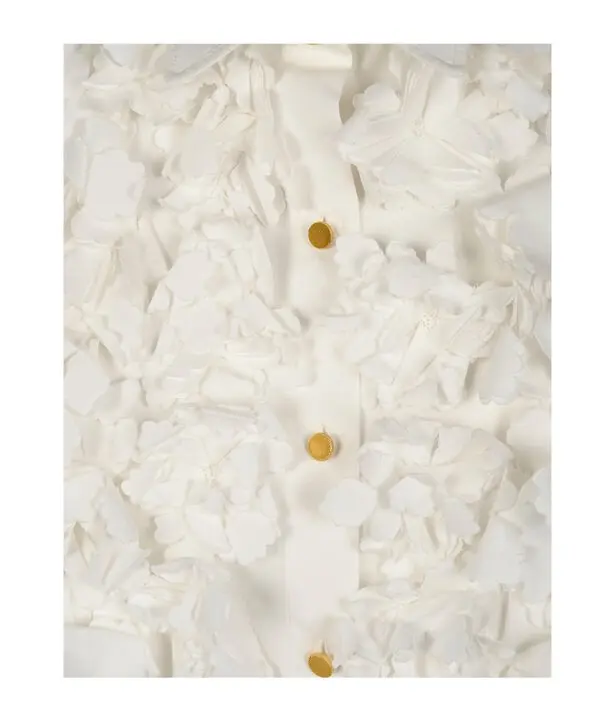 Alberta Ferretti Floral Appliqué Shirt