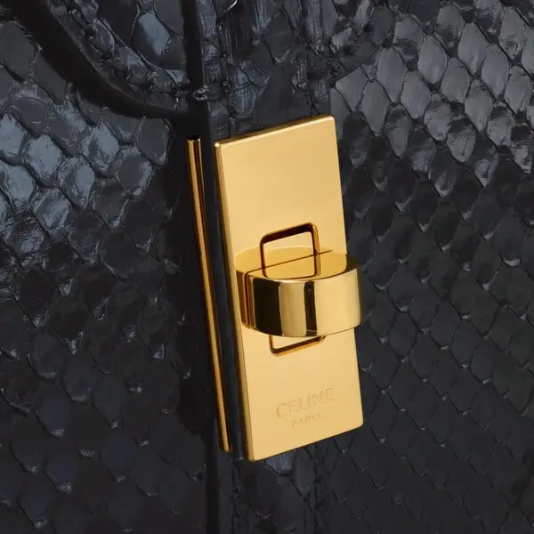 Celine MINI 16 IN Python