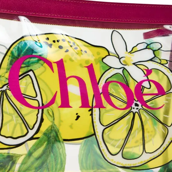 Chloé Minimalist Small Bag