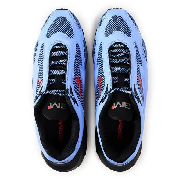 Nike Lowtop Laceup Sneaker