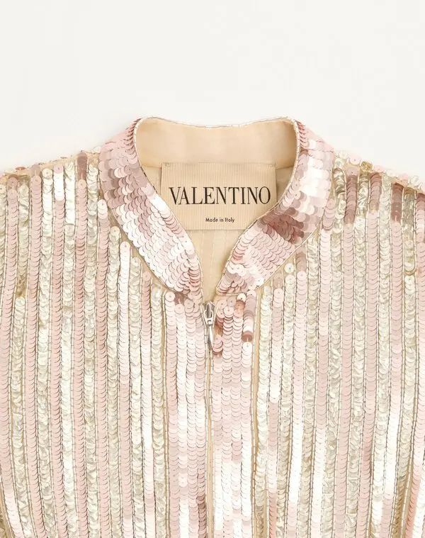 Valentino Garavani Embroidered Chiffon Dress