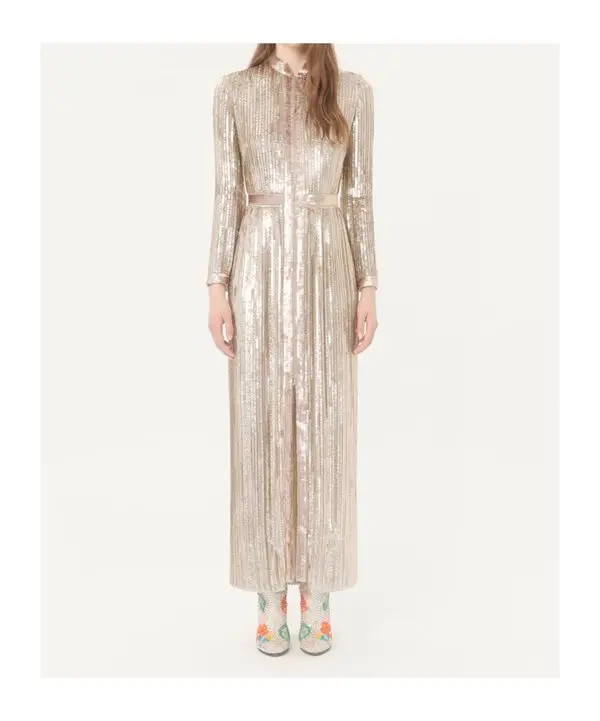 Valentino Garavani Embroidered Chiffon Dress