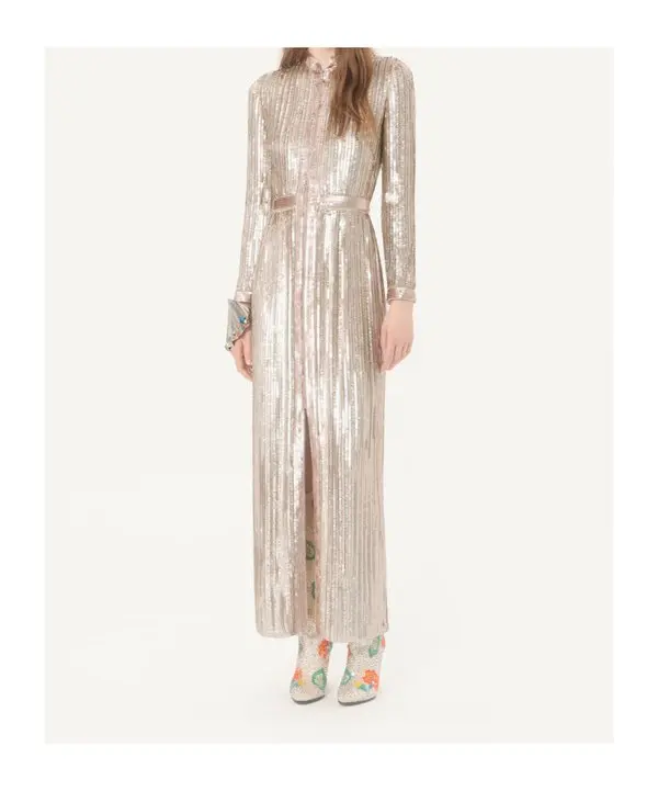 Valentino Garavani Embroidered Chiffon Dress