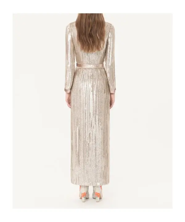 Valentino Garavani Embroidered Chiffon Dress